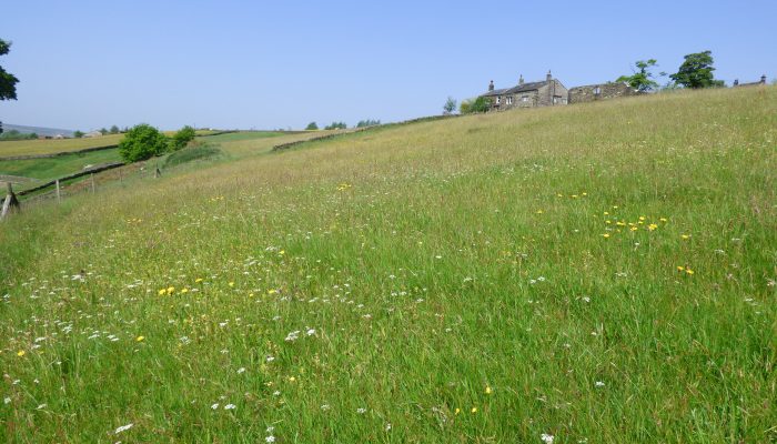 Garden and Fields – Elmet Farmhouse Yorkshire Self Catering Holiday ...