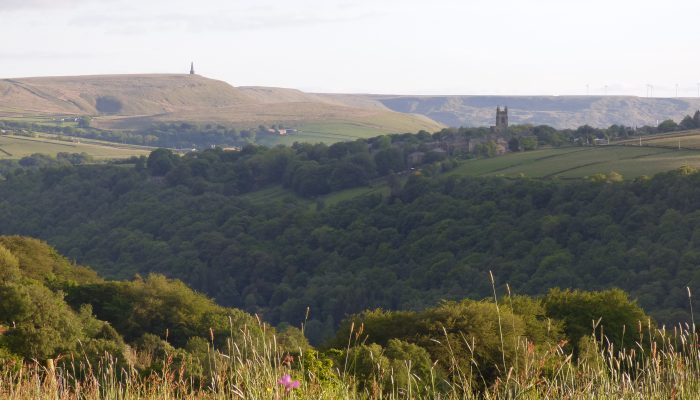 Garden and Fields – Elmet Farmhouse Yorkshire Self Catering Holiday ...